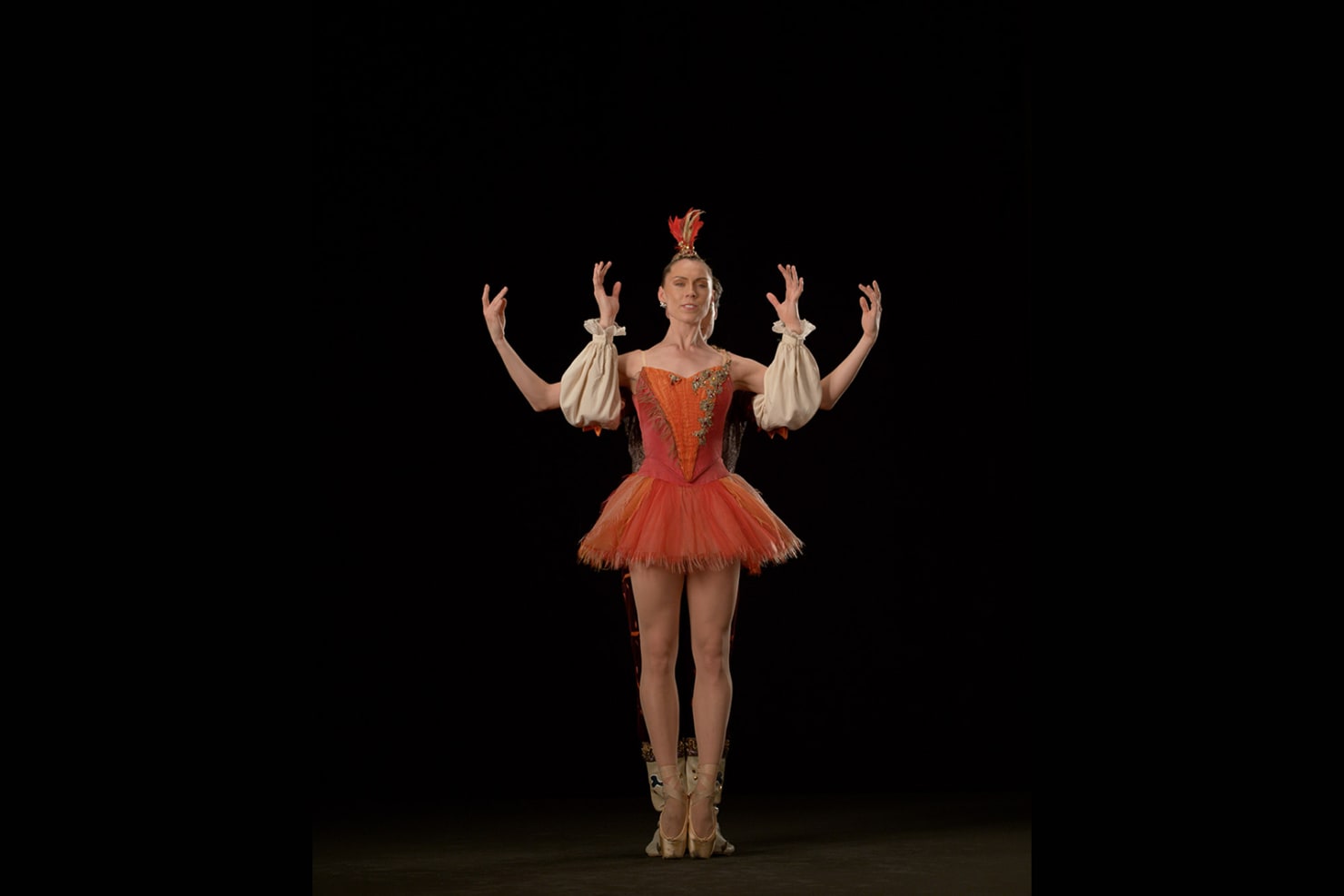 The 75th Anniversary Season Opens with a Large-Scale Video Installation by David Michalek | New ...